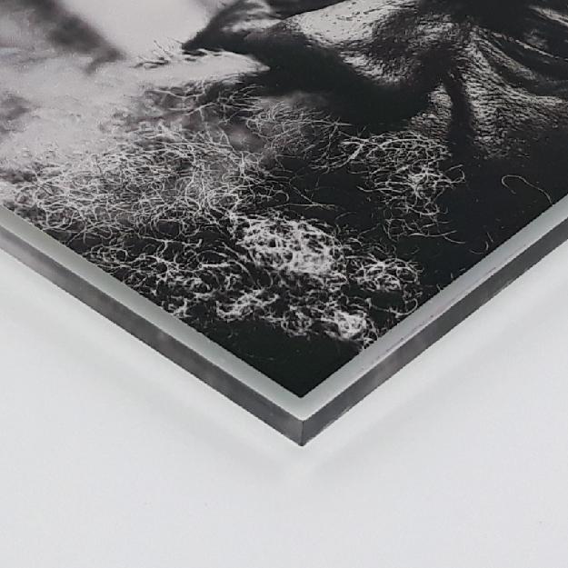 PLEXIGLASS (transparent)